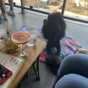 SIDECAR BARLEY & WINE BAR - Updated May 2024 - 78 Photos & 41 Reviews ...