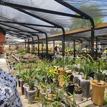 SHUNA’S SUCCULENT HOUSE - Updated May 2025 - 123 Photos & 33 Reviews ...