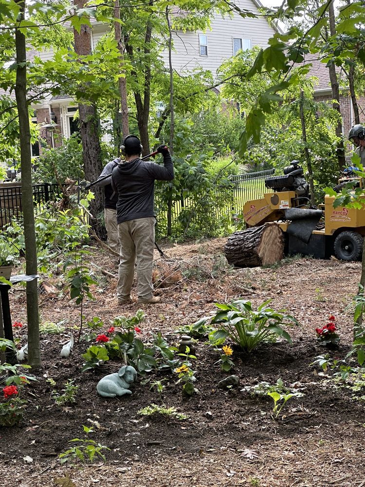 TURBO TREE CARE - Updated July 2025 - 15 Photos - 6161 Cotter Ave ...