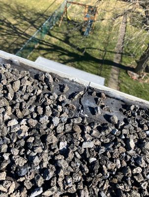 ALPHA ROOFING - Updated May 2026 - 13 Photos & 25 Reviews - 4434-36 ...