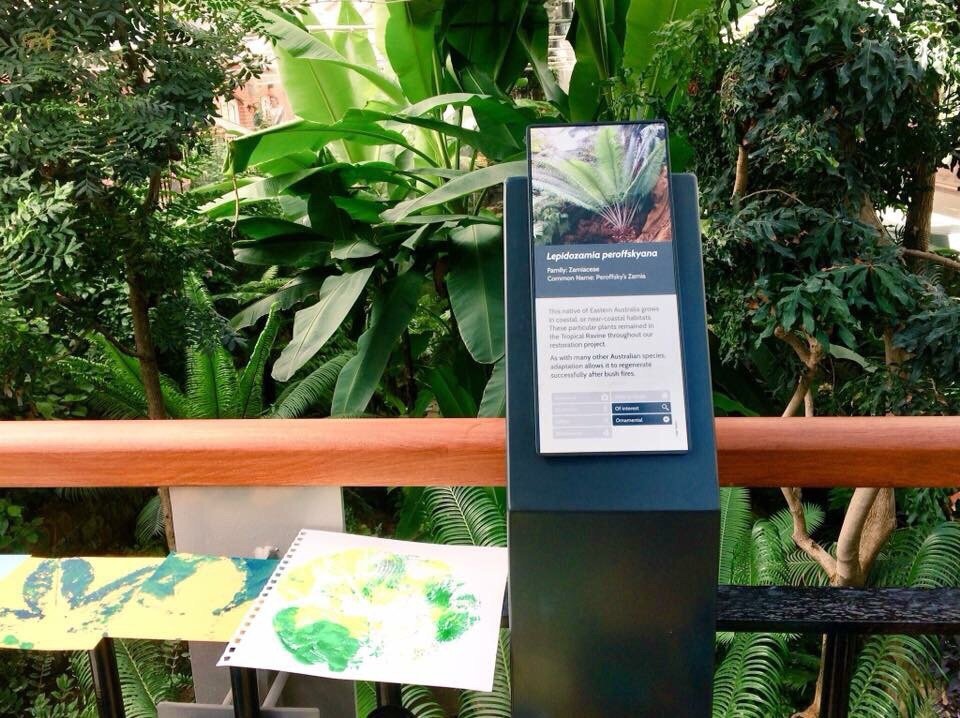 TROPICAL RAVINE - Updated July 2024 - 15 Photos - Belfast Botanic ...
