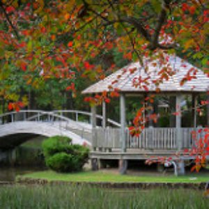 CENTEREACH POOL - Updated July 2024 - 286 Hawkins Rd, Centereach, New ...