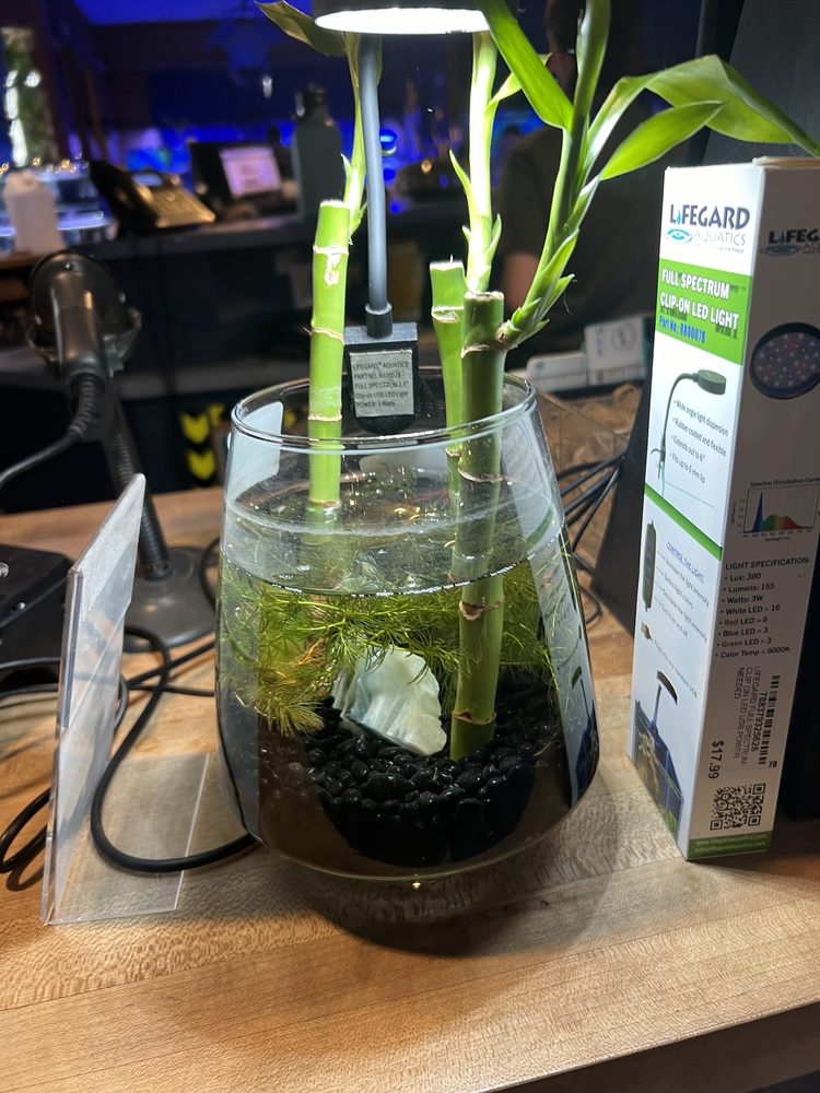 AQUATICS UNLIMITED - Updated November 2025 - 27 Photos & 53 Reviews ...