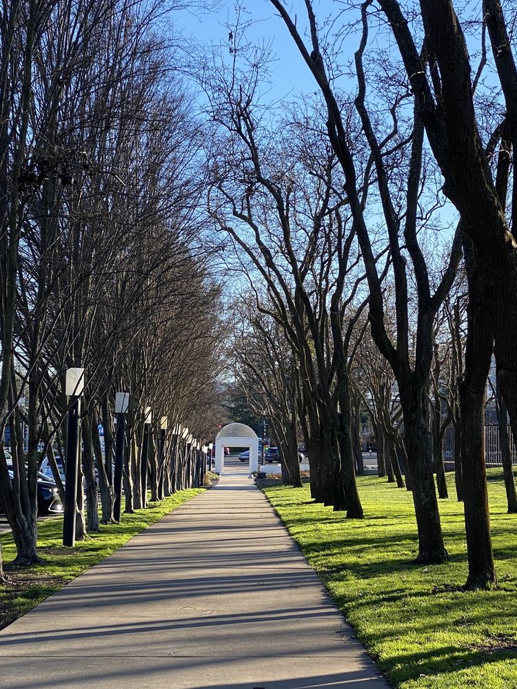 SAN RAMON CENTRAL PARK - Updated October 2025 - 256 Photos & 109 ...