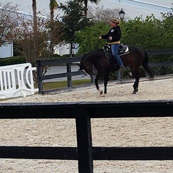 WORLD EQUESTRIAN CENTER - Updated December 2025 - 347 Photos & 76 ...