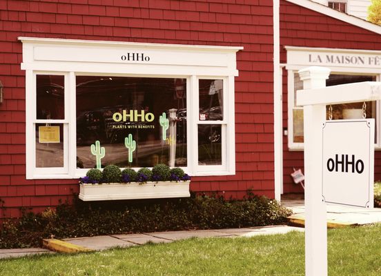 OHHO BOTANICALS - Updated June 2025 - 15 Photos & 10 Reviews - 34 ...
