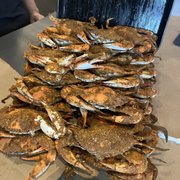 COSTAS INN - 389 Photos & 339 Reviews - 4100 N Point Blvd, Baltimore ...