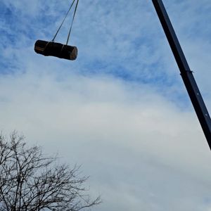 HARDIN’S TREE SERVICE - Updated May 2025 - 29 Photos & 64 Reviews ...