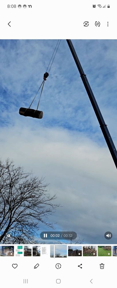 H G TREE SERVICE - Updated October 2025 - 136 Photos & 51 Reviews ...