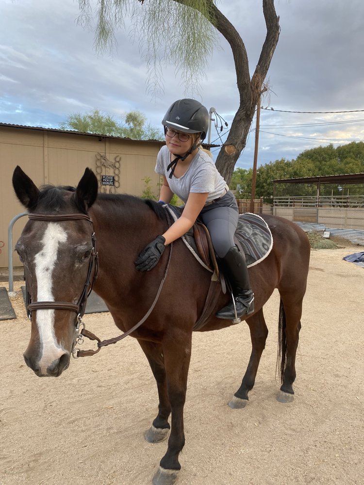 TWIN ACRES SCHOOL OF RIDING - Updated December 2025 - 11 Photos & 16 ...