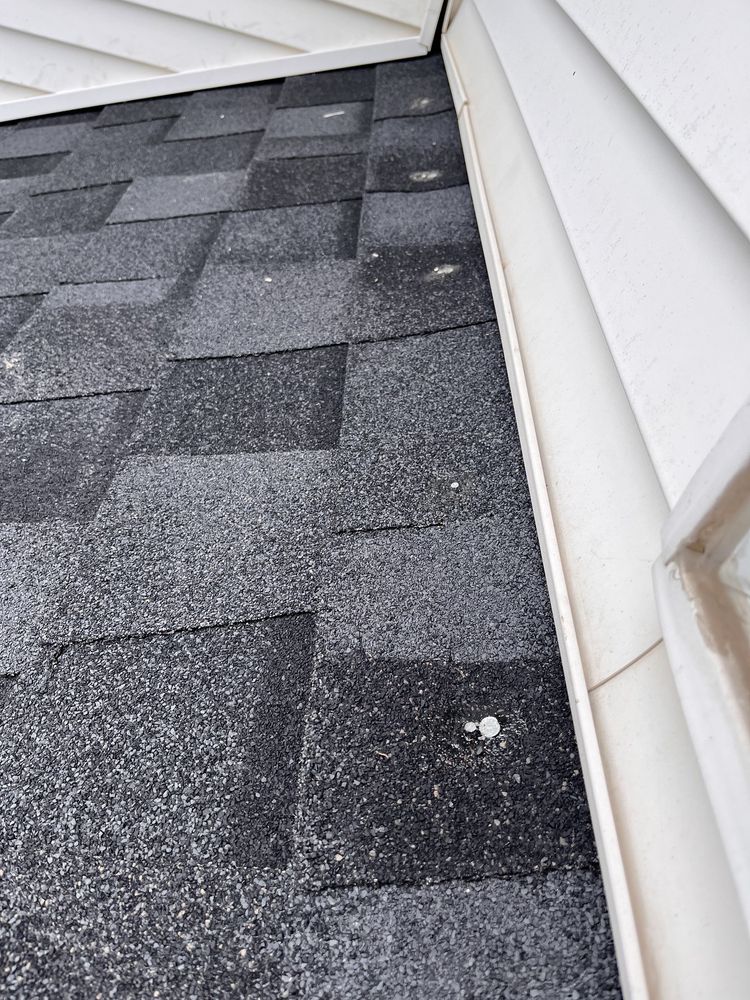 AVA ROOFING & SIDING - Updated July 2025 - 23 Photos - 7293 Schultz Rd ...