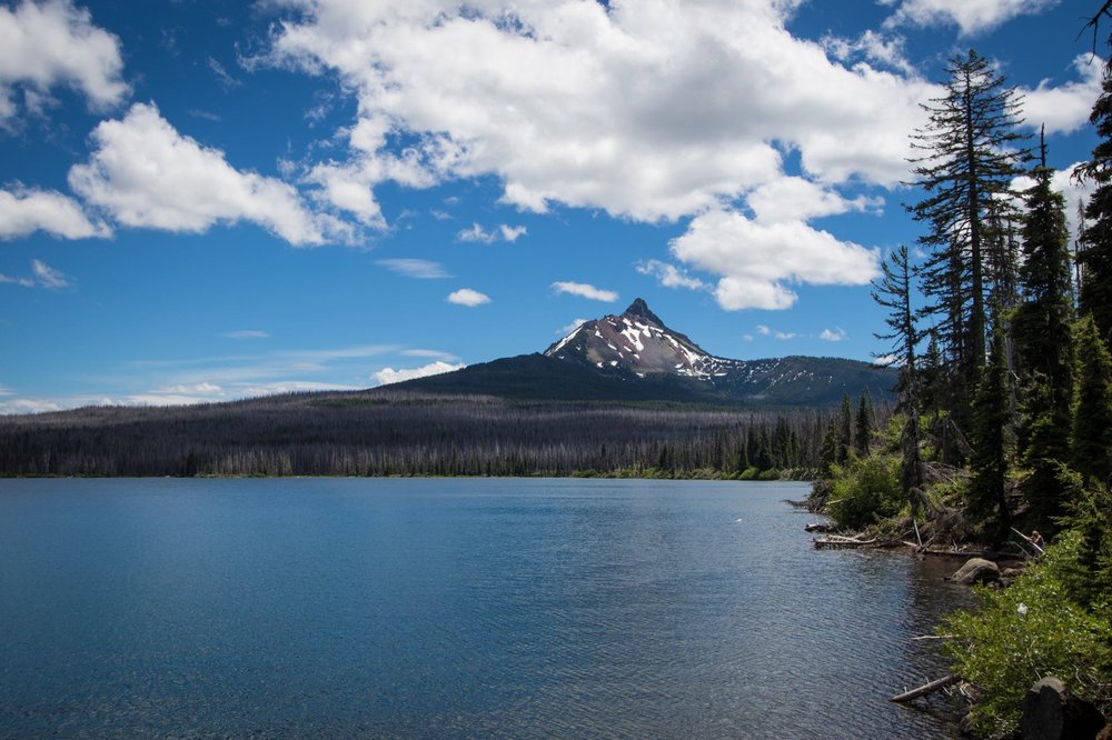 BIG LAKE CAMPGROUND - 57600 McKenzie Hwy, Blue River, Oregon ...