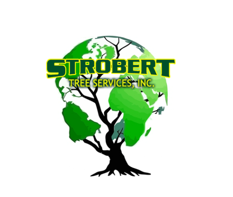 STROBERT TREE SERVICES - Updated October 2025 - 28 Photos & 48 Reviews - 1806 Zebley Rd ...