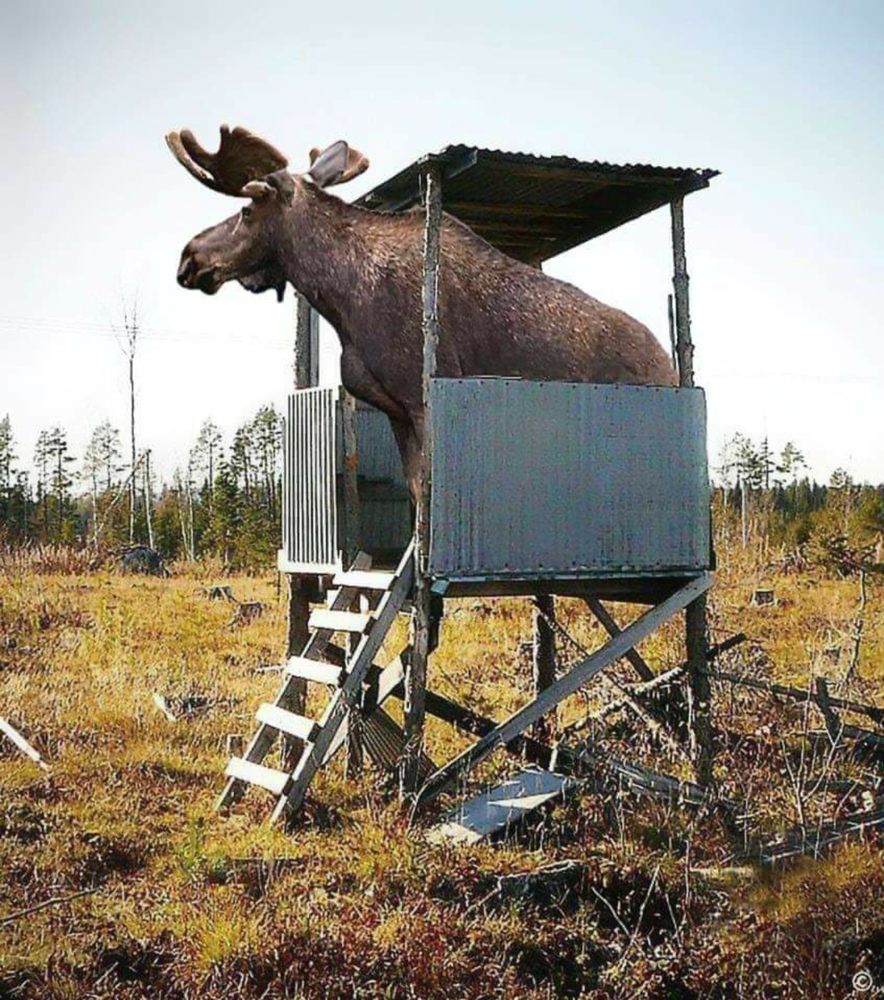 THIN BLUE LINE MEATS - Updated February 2025 - 427 W Washington Rd ...