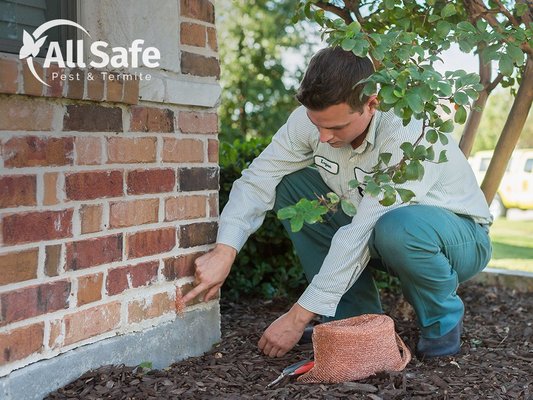 ALL-SAFE PEST & TERMITE - Updated April 2025 - 77 Photos & 93 Reviews ...