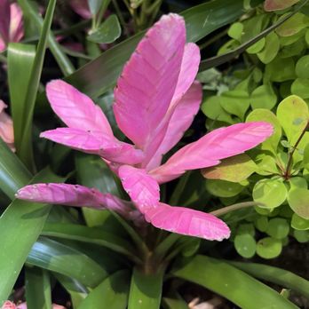 GALLERIA SHOPPING CENTER - Updated October 2025 - 61 Photos & 53 ...