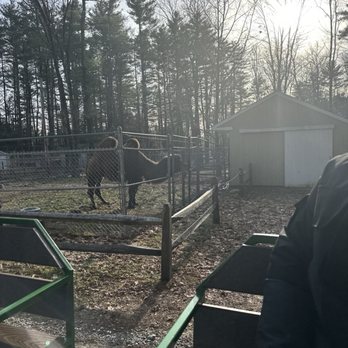 CHARMINGFARE FARM - Updated December 2025 - 40 Photos & 130 Reviews ...