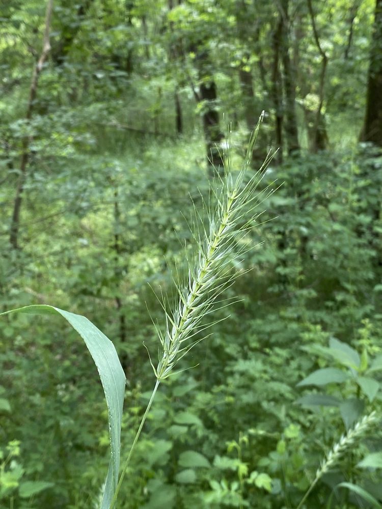 DICKERSON CONSERVATION PARK - Updated May 2024 - 21 Photos - 20700 ...