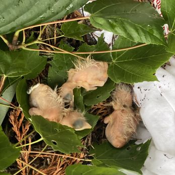 WILD BIRD FUND - Updated December 2025 - 28 Photos & 47 Reviews - 565 ...