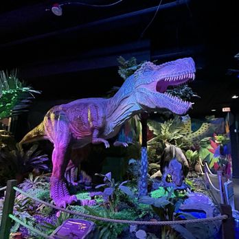 DINOSAUR OUTPOST - Updated July 2025 - 32 Photos & 19 Reviews - 6569 S ...