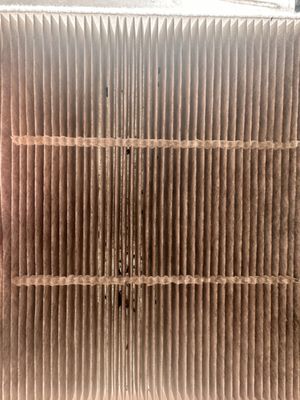 DOLAN DODGE RAM FIAT - Updated October 2025 - 30 Photos & 100 Reviews ...