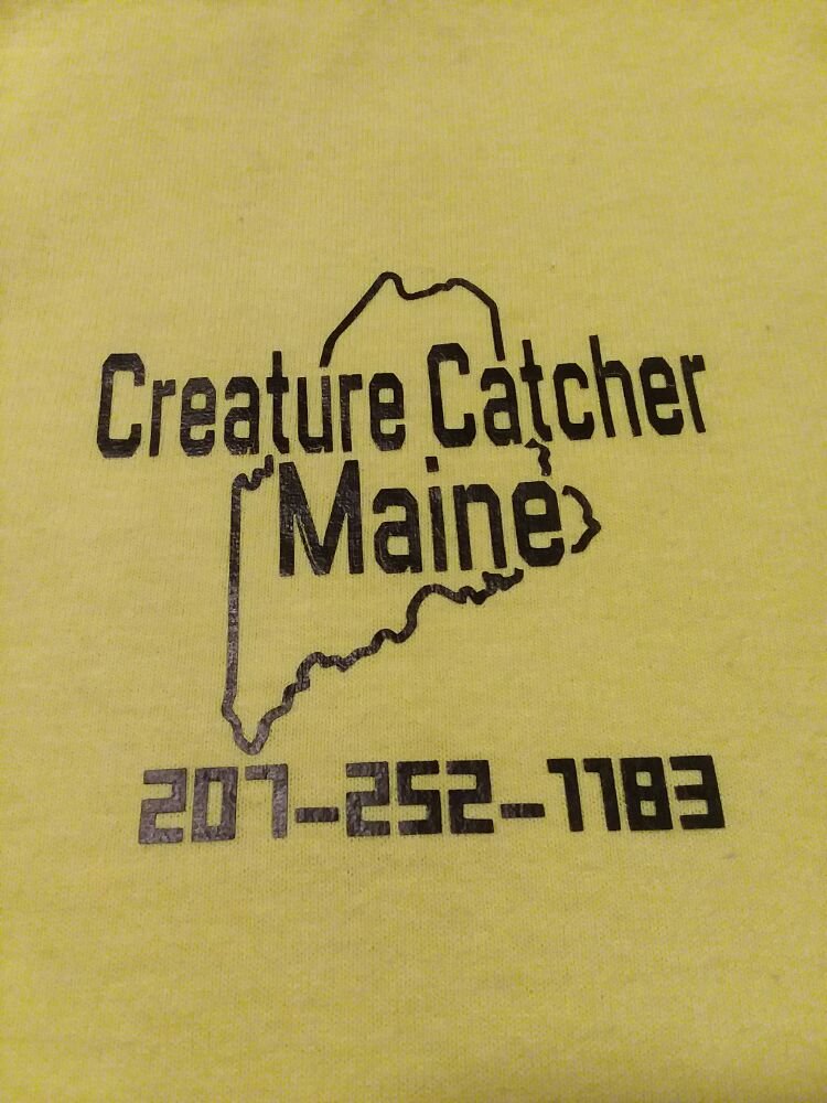 CREATURE CATCHER MAINE - Updated December 2025 - Sanford, Maine - Pest ...