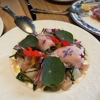 ROCCA - Updated May 2024 - 1562 Photos & 473 Reviews - 323 W Palm Ave ...