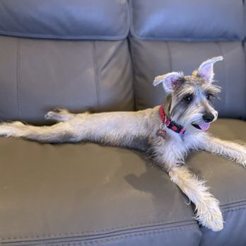 BARK ROOM - Updated March 2025 - 145 Photos & 122 Reviews - 65 S ...