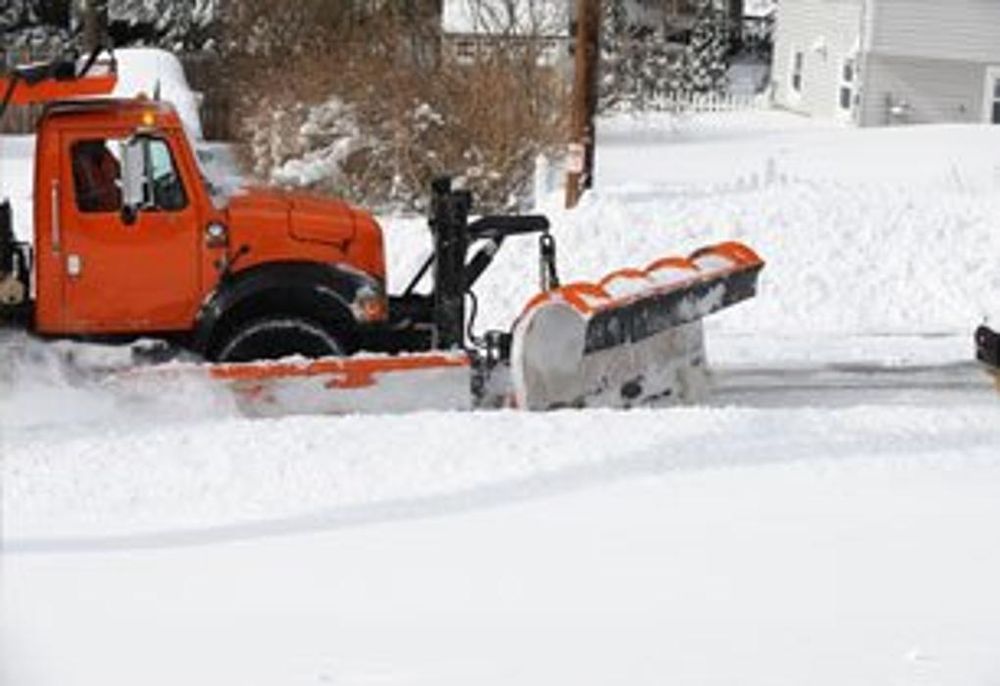 TREEMASTERS - Updated January 2026 - 29 Photos & 26 Reviews - 549 ...