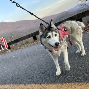 ANIMAL HOSPITAL OF MARION - Updated September 2025 - 22 Reviews - 1086 ...