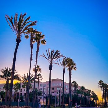 CALIFORNIA LANGUAGE ACADEMY - Updated November 2025 - 53 Photos & 12 ...