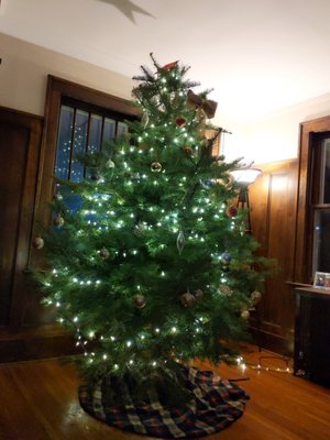 URQUHARTS TREE FARM - Updated July 2024 - 11 Reviews - 230 S Steinbach ...