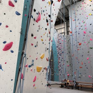 ALPINE CLIMBING ADVENTURE FITNESS - 95 Photos & 41 Reviews - 1450 ...