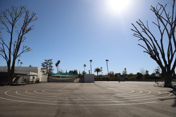 IVY ACADEMIA - Updated October 2025 - 21 Photos & 28 Reviews - 5975 ...