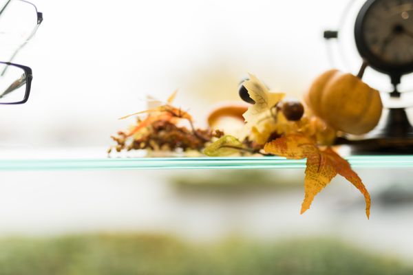 VISION INSTITUTE NORTHWEST - Updated January 2026 - 12 Photos & 22 ...