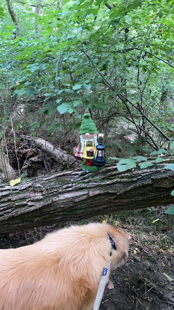 BEN HAWES PARK - Updated July 2025 - 400 Booth Field Rd, Owensboro ...