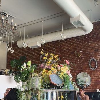 DAISY MINT - Updated September 2024 - 1467 Photos & 1889 Reviews - 1218 ...