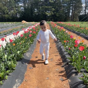 ENO RIVER FARM - 89 Photos & 33 Reviews - 2127 St Marys Rd ...