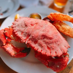 SANTA BARBARA SHELLFISH COMPANY - 4661 Photos & 2446 Reviews UPDATED ...