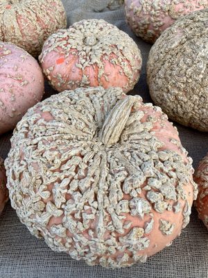 FOUR TOWN FARM - Updated September 2025 - 129 Photos & 87 Reviews - 90 ...