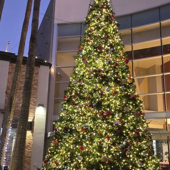 AMC TUSTIN 14 AT THE DISTRICT - Updated June 2025 - 550 Photos & 696 ...