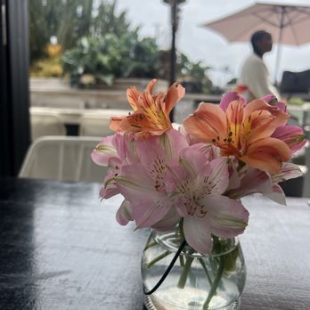 UBUNTU THE GREATEST NEIGHBORHOOD CAFÈ - Updated November 2024 - 1876 ...