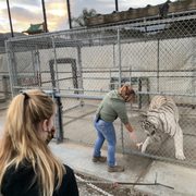 VISION QUEST RANCH - 790 Photos & 291 Reviews - Bed & Breakfast - 400 ...