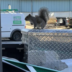 PERMATREAT PEST & TERMITE CONTROL - Updated December 2024 - 26 Reviews ...