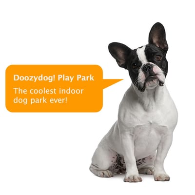 DOOZYDOG! CLUB - Updated October 2025 - 68 Photos & 197 Reviews - 2301 ...