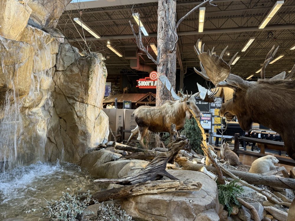 BASS PRO SHOPS - Updated August 2025 - 484 Photos & 160 Reviews - 7000 ...