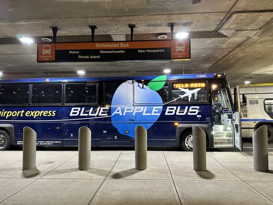 BLUE APPLE BUS COMPANY - Updated December 2025 - 439 High Street ...