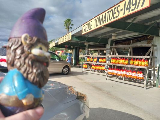 BECNEL BEN SOUTH LOUISIANA CITRUS & VEGETABLE FARM - Updated October ...