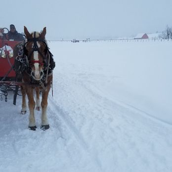 THE ACTIVITY BARN - Updated June 2024 - 21 Photos & 13 Reviews - 141 ...