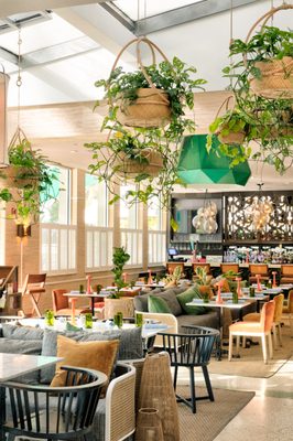 THE SOCIAL CLUB - Updated January 2026 - 2351 Photos & 2039 Reviews ...